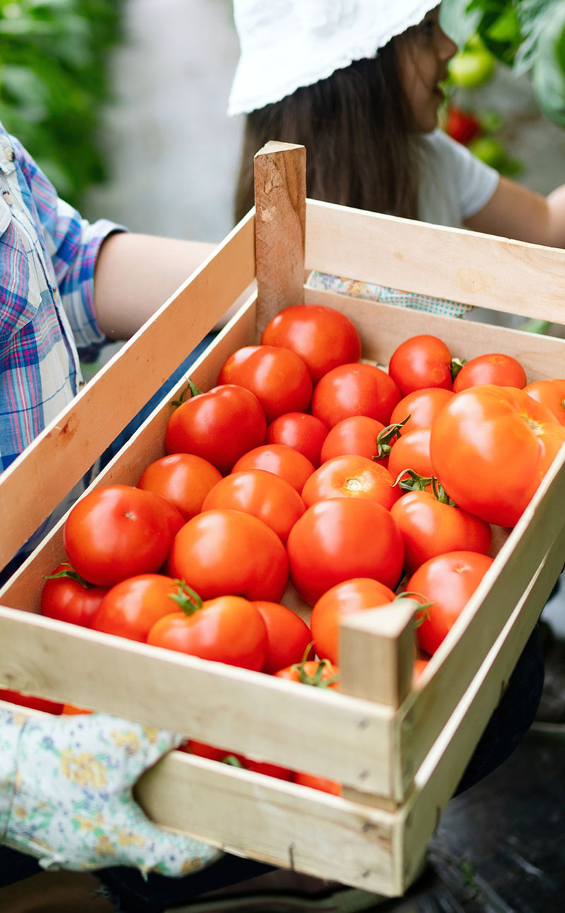 About Us – The Produce Traceability Initiative